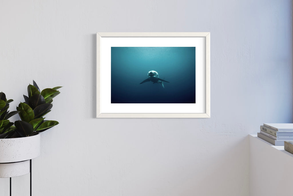 Warren Keelan - International Award Winning Ocean Art Photographer ...